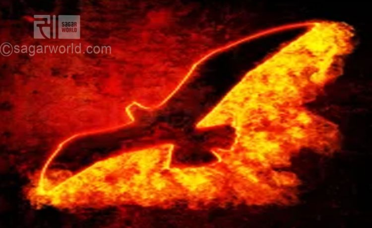 Sampati – Brother of Jatayu | Sagar World Blog