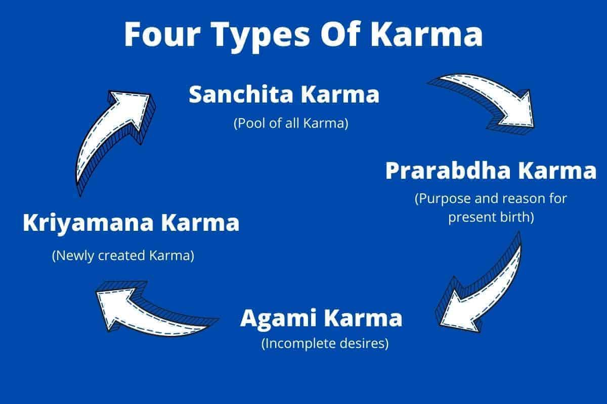 The Fruit-bearing tree of Karma | Sagar World Blog